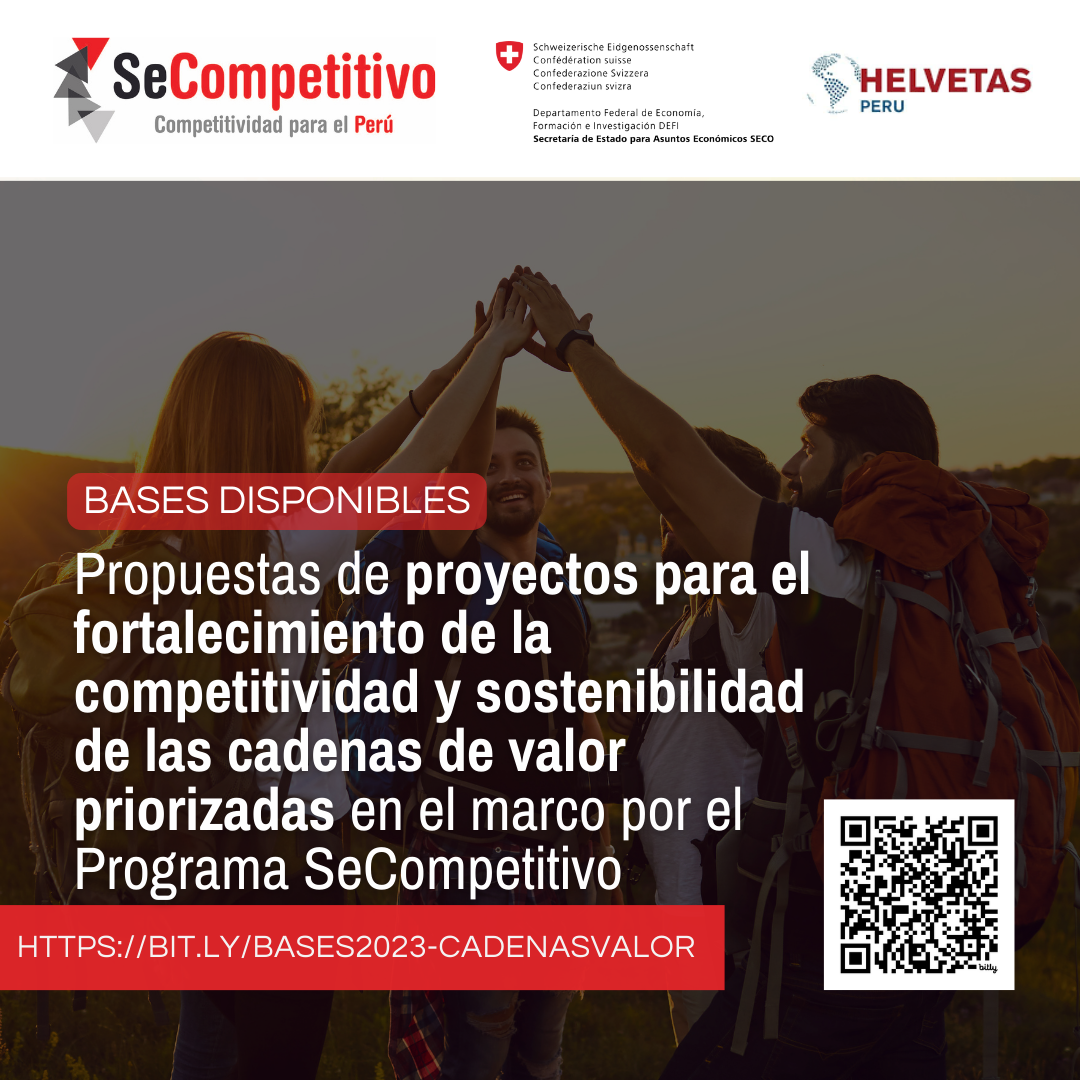 Bases para “Cadenas de valor competitivas” - Se Competitivo